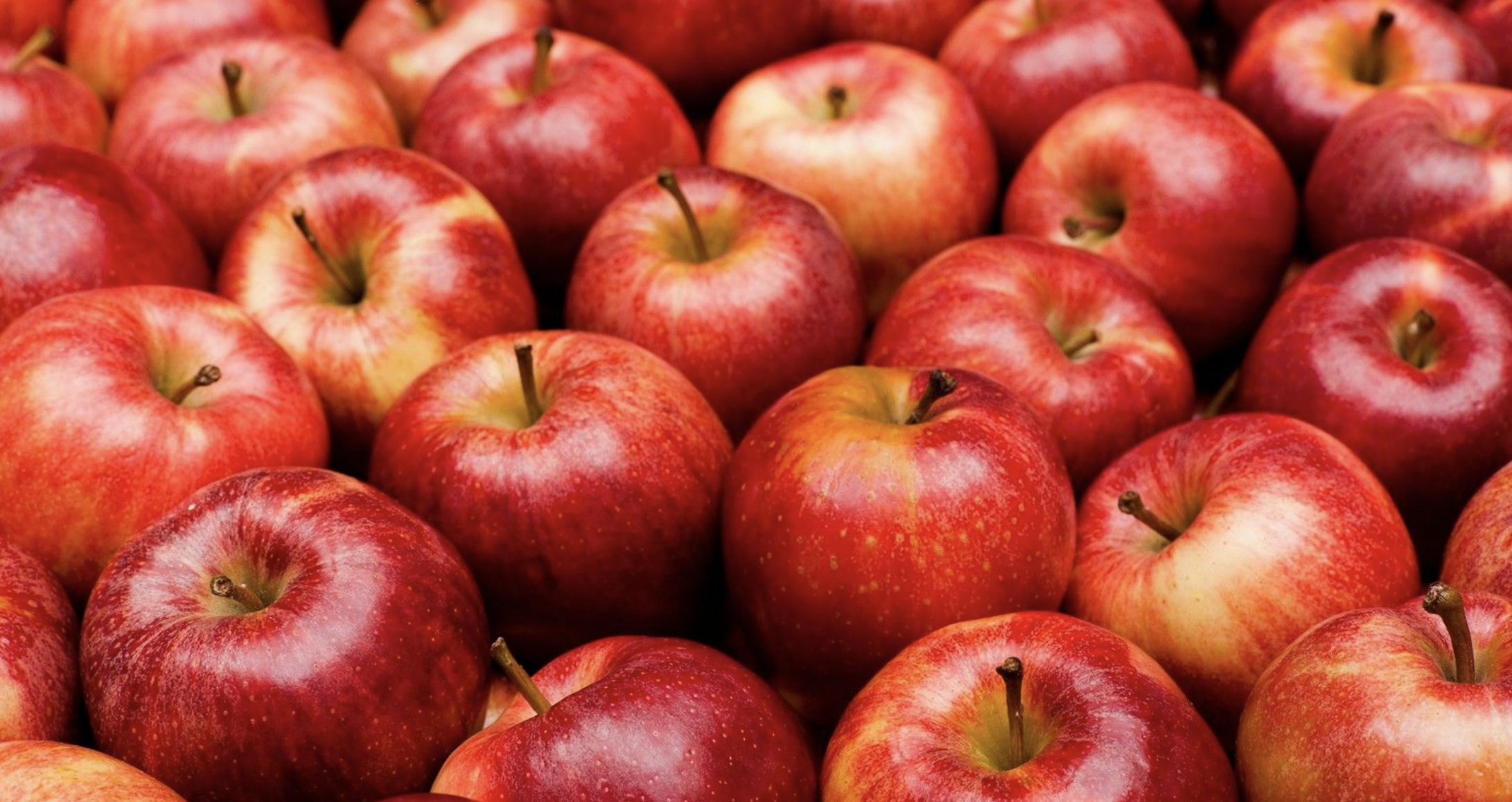10 Best Apple Recipes For A Tasty And Healthy Meal BestForYourHome 10-best-apple-recipes-for-a-tasty-and-healthy-meal-bestforyourhome